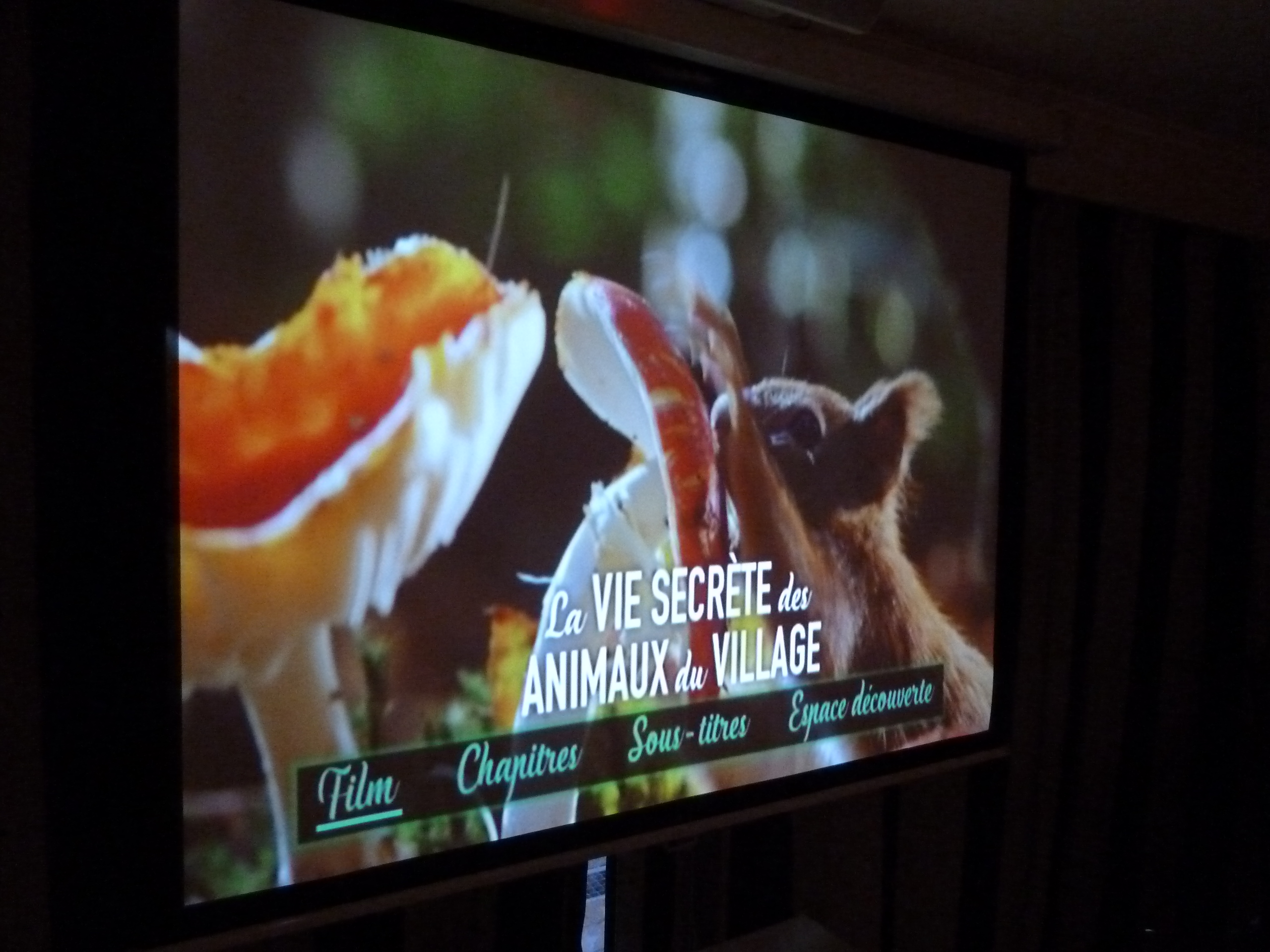 Séances de cinéma mars 2020 - Résidence 200 - Maison de Repos